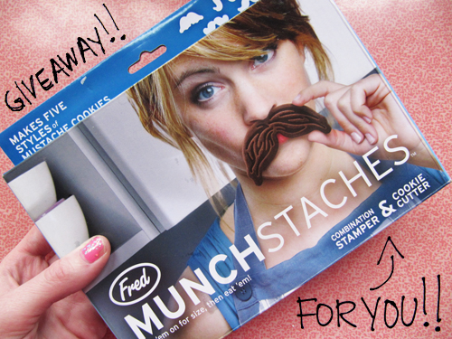 Munchstache Giveaway! – Take a Megabite
