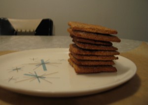 Graham Crackers – Take a Megabite