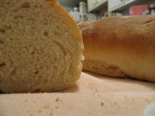 French Bread – Take a Megabite