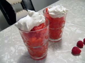 Raspberry Granita – Take a Megabite