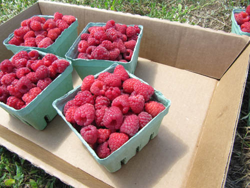 Raspberry Adventures – Take a Megabite