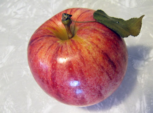 Honey Graham Granola – Take a Megabite