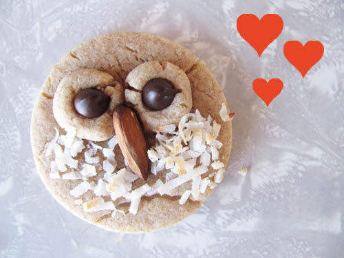 Owl Themed Cookies Pinterest Cookie D {Owl Cookies} The Sweet