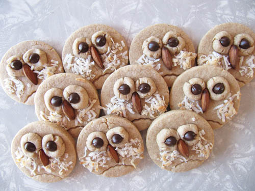 Sugar & Spice Owl Cookies – Take a Megabite