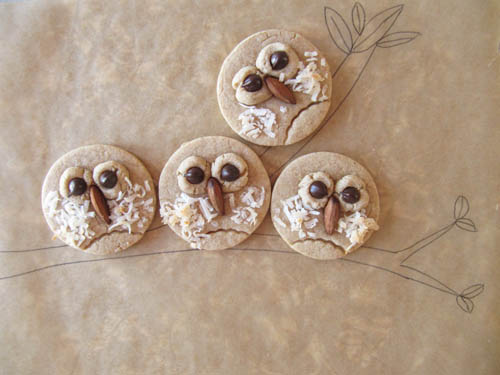 Sugar & Spice Owl Cookies – Take a Megabite