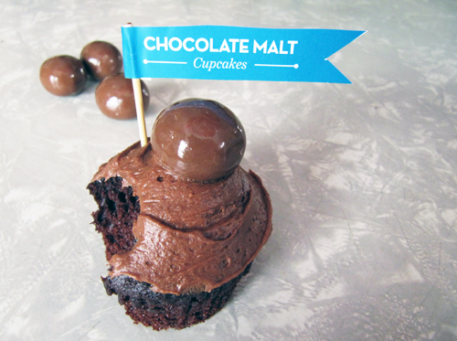Chocolate Malt Cupcakes – Take a Megabite