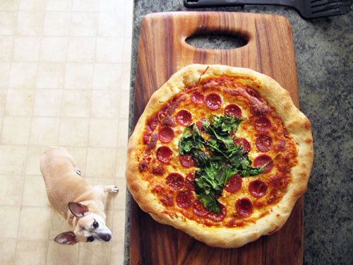 Pizza Dough {made by Jake} – Take a Megabite