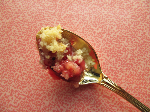 Single Lady Plum Crumble – Take a Megabite