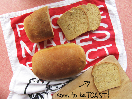 Rye Bread – Take a Megabite