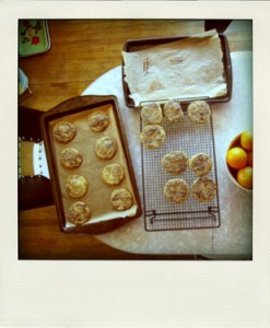 Orange Chocolate Chunk Cookies – Take a Megabite