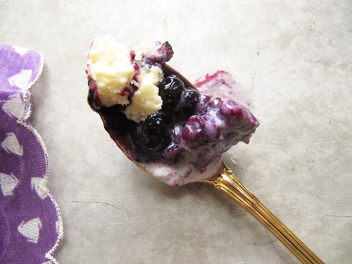Single Lady Blueberry Cobbler – Take a Megabite
