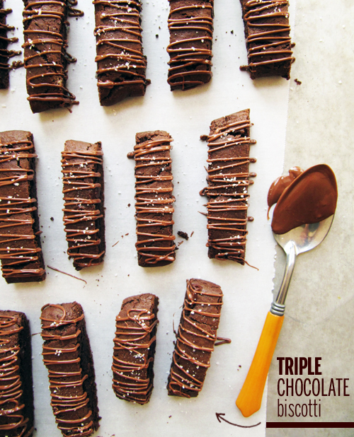 Triple Chocolate Biscotti Take A Megabite