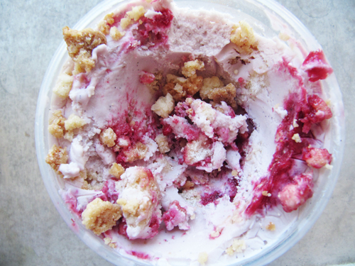 Berry Crumble Ice Cream – Take a Megabite
