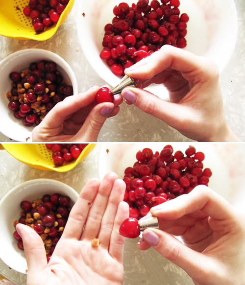 Sour Cherry Cobbler – Take a Megabite