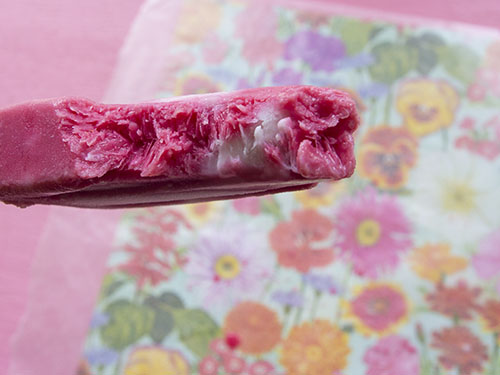 Sour Cherry Fro-Yo Ice Pops – Take a Megabite