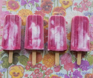 Sour Cherry Fro-Yo Ice Pops – Take a Megabite