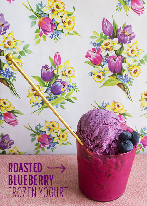 Roasted Blueberry Frozen Yogurt – Take a Megabite
