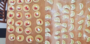 Sweet & Savory Pierogi – Take a Megabite