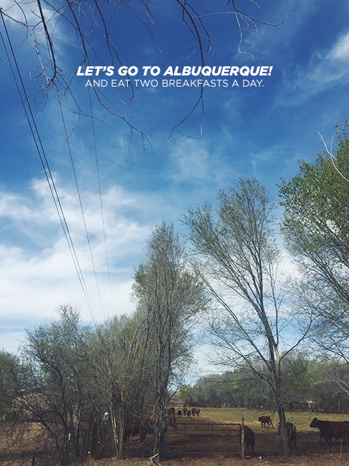Let’s Go To Albuquerque! – Take a Megabite